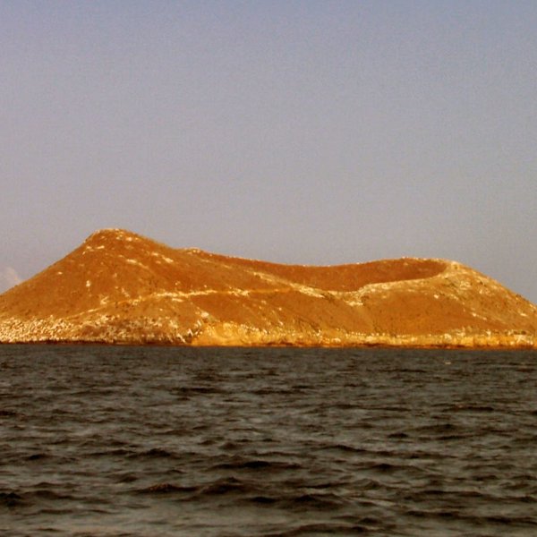 Birdwatching and diving on Daphne Major Island