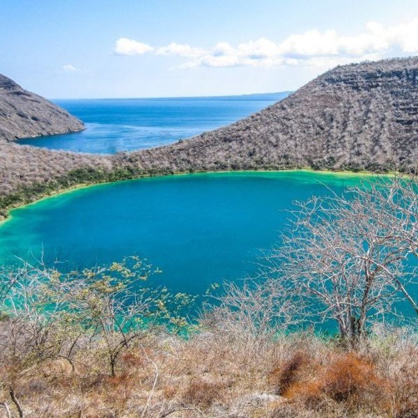 Hiking and snorkeling at Tagus Cove, Isabela Island