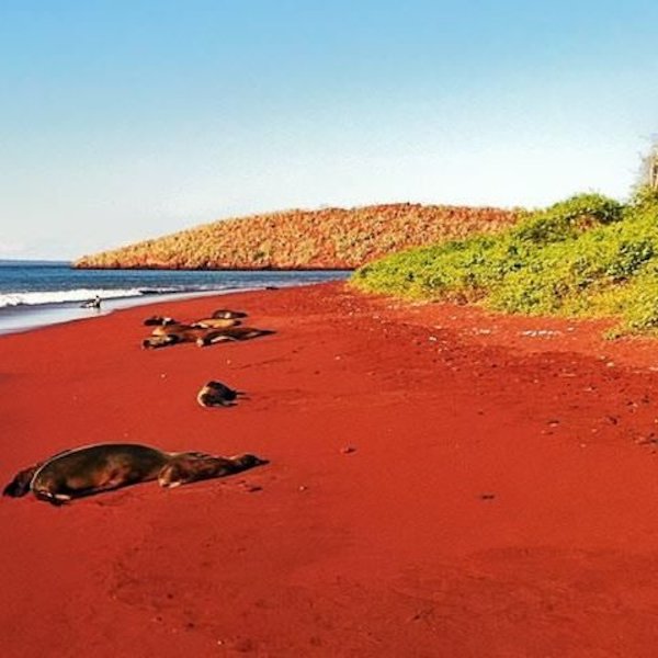 The red island of Galapagos - Rábida Island