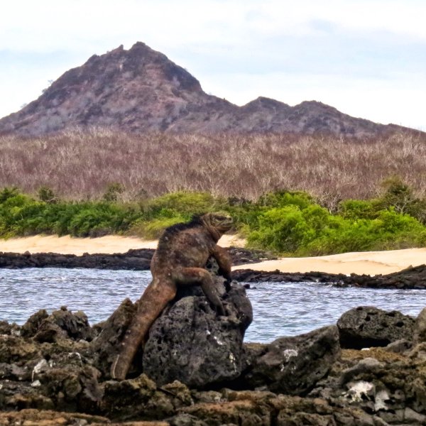Snorkeling and birdwatching on Eden Islet, Santa Cruz Island